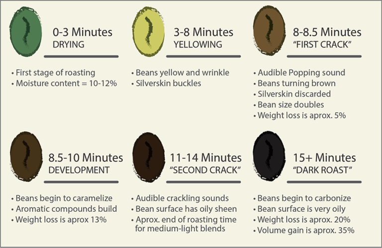 How Coffee Changes During The Roasting Process - Associated Coffee